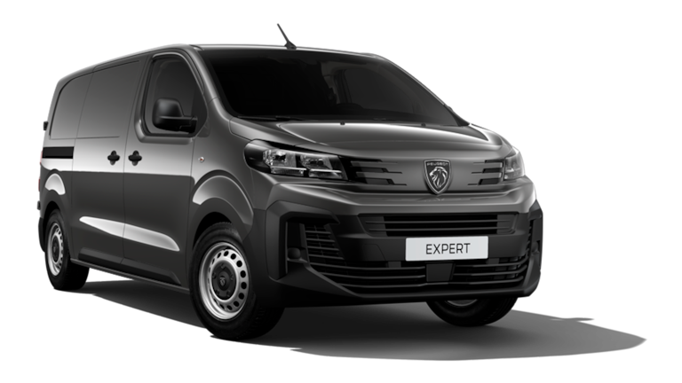 Expert Furgón Diesel Peugeot España 6868
